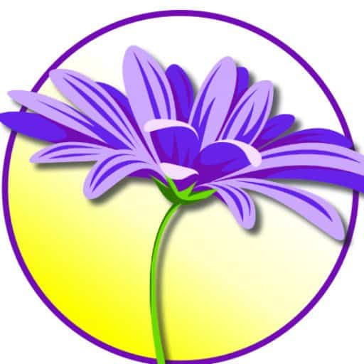 Energy Healing Sessions - Radiance Revealed